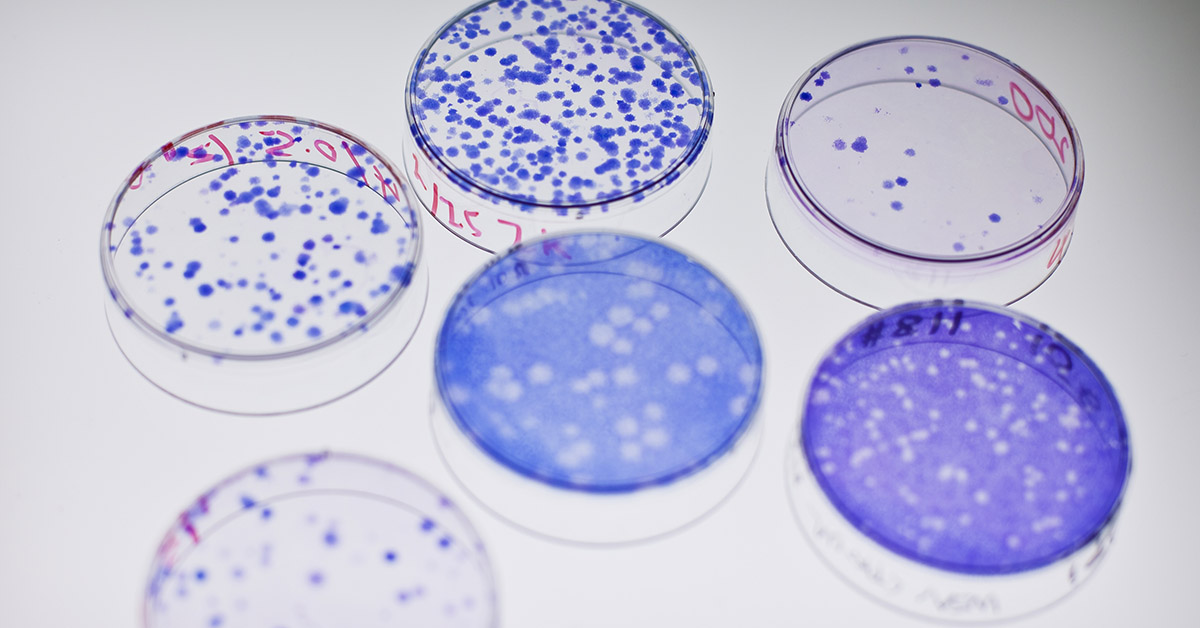 Research | Biology Programs